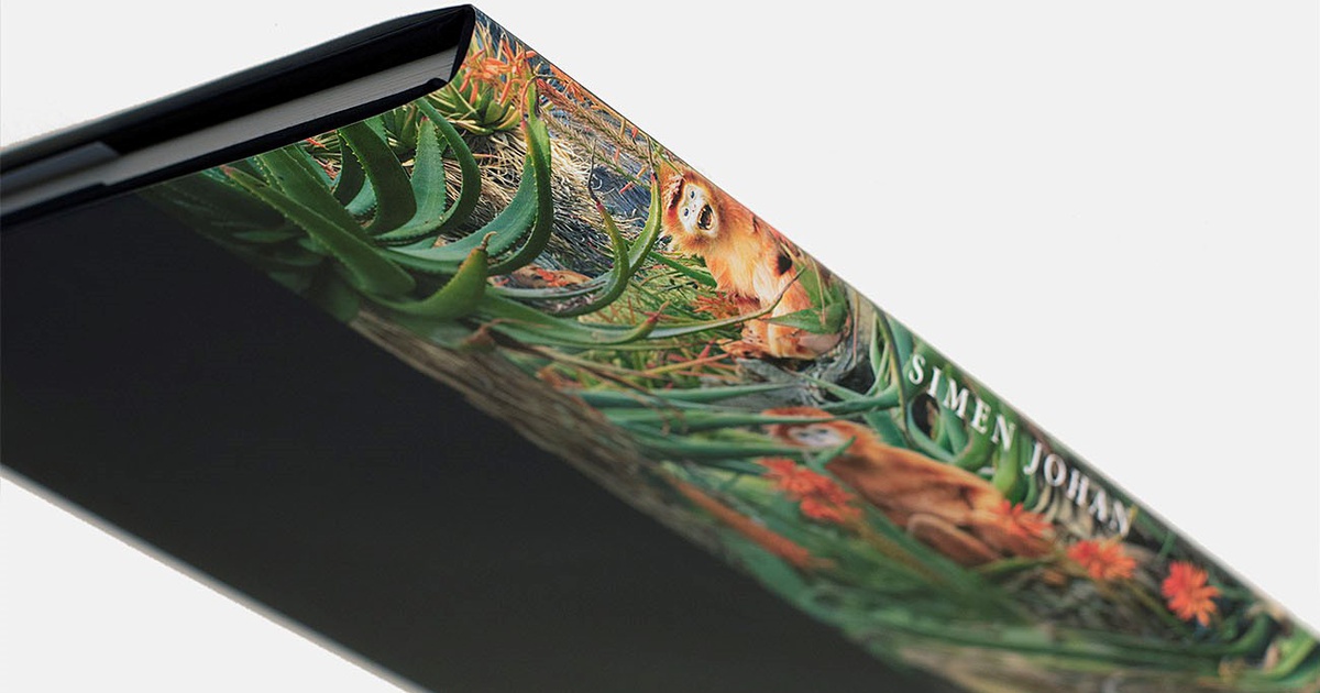 New Monograph by Simen Johan | Yossi Milo