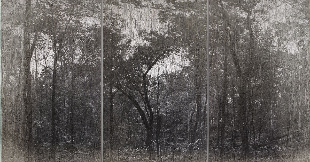 Matthew Brandt at Erarta Museum | Yossi Milo